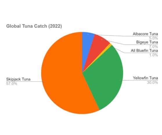 Types Of Tuna: Taste, Size, Nutrition